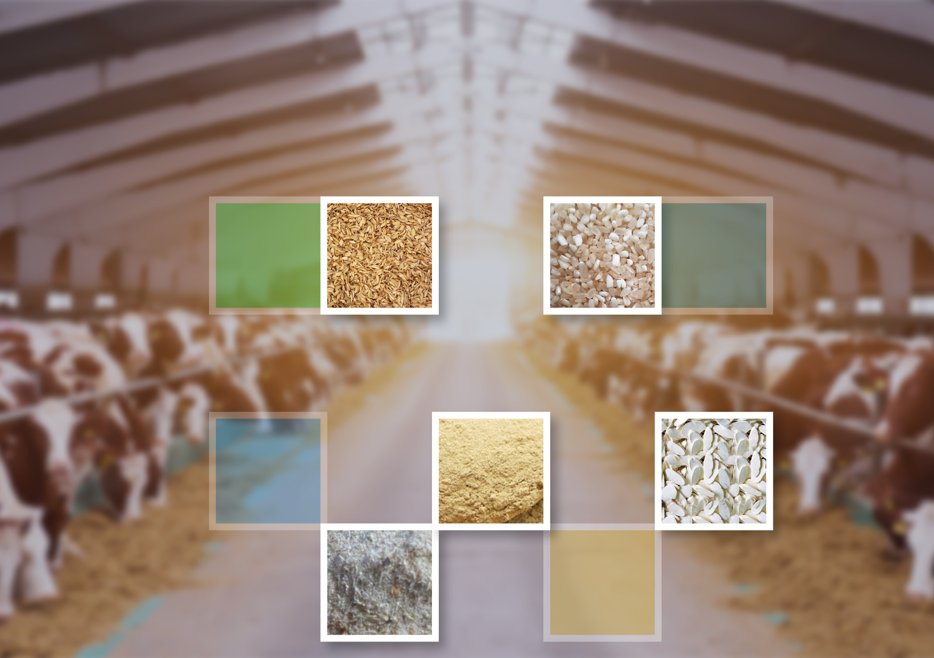 MASI - Fish Meal | Fish Oil | Fish Soluble